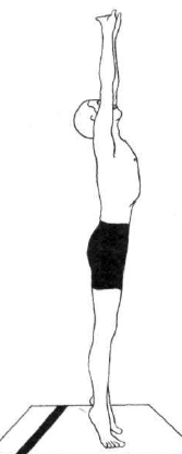 Tadasana Palm Tree Pose